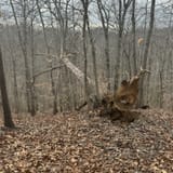 Bacon Ridge Trail: Phase 3, Maryland - 2,308 Reviews, Map | AllTrails