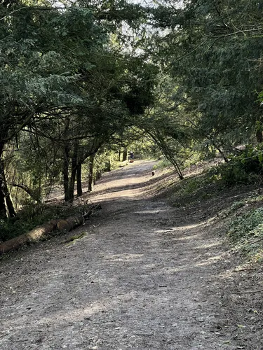 Best Hikes and Trails in Farthing Downs | AllTrails