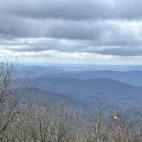 Springer Mountain, Georgia - 686 Reviews, Map | AllTrails