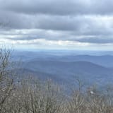 Springer Mountain, Georgia - 686 Reviews, Map | AllTrails