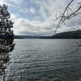 Council Bluff Lake Loop, Missouri - 278 Reviews, Map | AllTrails