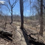 Bacon Ridge Trail: Phase 3, Maryland - 2,308 Reviews, Map | AllTrails