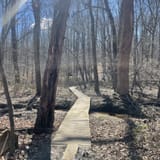 Bacon Ridge Trail: Phase 3, Maryland - 2,308 Reviews, Map | AllTrails