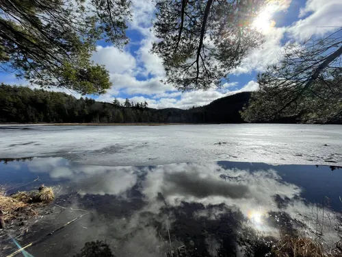 Best Walking Trails in Epsom | AllTrails