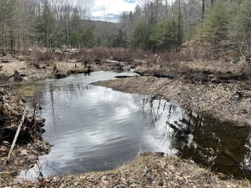 Best Walking Trails in Epsom | AllTrails