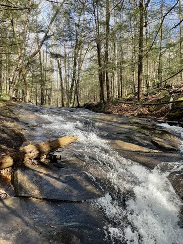 Best Walking Trails in Epsom | AllTrails