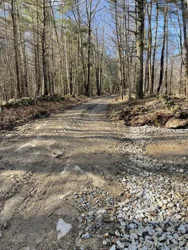 Best Walking Trails in Epsom | AllTrails