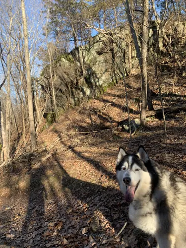 Best Hikes and Trails in Tyler Mill Preserve | AllTrails
