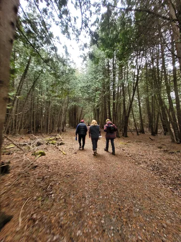 Best Forest Trails in Mountsberg Conservation Area | AllTrails