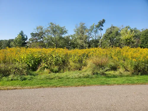 Best Wheelchair Friendly Trails in Acacia Reservation | AllTrails