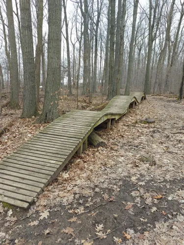Best Walking Trails in Kelso Conservation Area | AllTrails
