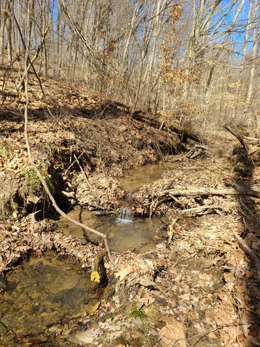 Best Short Trails in Salt Fork State Park | AllTrails