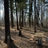 Waterloo-Pinckney Trail, Michigan - 497 Reviews, Map | AllTrails