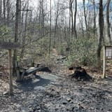 Signal Knob Loop Trail, Virginia - 1,027 Reviews, Map | AllTrails