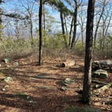 Signal Knob Loop Trail, Virginia - 943 Reviews, Map | AllTrails