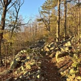 Signal Knob Loop Trail, Virginia - 963 Reviews, Map | AllTrails