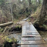 Woodlot 0007, British Columbia, Canada - 240 Reviews, Map | AllTrails