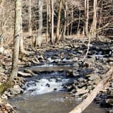 Cedar Falls Trail, Arkansas - 1,860 Reviews, Map | AllTrails