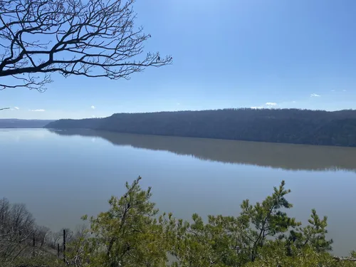 Best Hikes and Trails in Chestnut Grove Natural Area | AllTrails