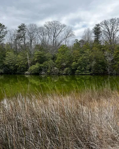 Best Hikes and Trails in Myrtle Point Park | AllTrails