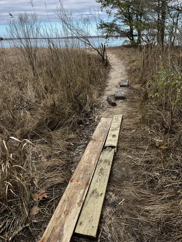 Best Hikes and Trails in Myrtle Point Park | AllTrails