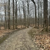 Knox Farm Trail, New York - 884 Reviews, Map | AllTrails