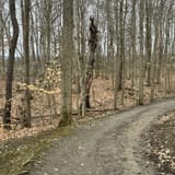 Knox Farm Trail, New York - 884 Reviews, Map | AllTrails
