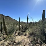 Valley View Overlook Trail, Arizona - 1,433 Reviews, Map | AllTrails