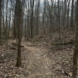 Bridge Loop Trail and Lake Loop Trail, Georgia - 939 Reviews, Map ...