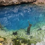 Blue Spring Trail, Missouri - 229 Reviews, Map | AllTrails