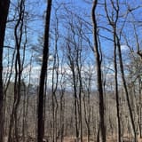 Bear's Den Park Trail, Virginia - 2,580 Reviews, Map | AllTrails