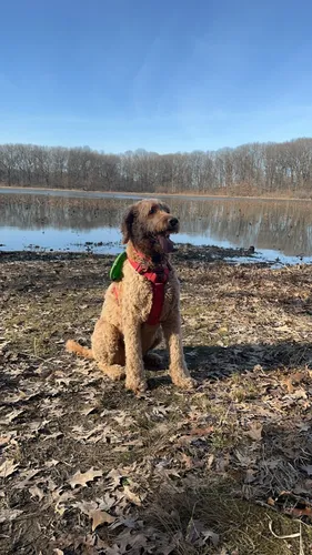 Best Trail Running Trails in Red Gate Woods | AllTrails