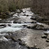 Mouse Creek Falls via Big Creek Trail, Tennessee - 2,646 Reviews, Map ...