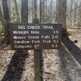 Mouse Creek Falls via Big Creek Trail, Tennessee - 2,646 Reviews, Map ...