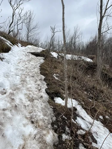 Best Hikes and Trails in Len Gertler Memorial Loree Forest | AllTrails