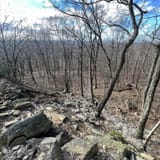Mount Tammany via Red Dot and Blue Dot Loop Trail, New Jersey - 12,887 ...