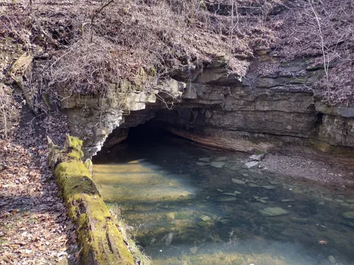 Best Forest Trails in Spring Mill State Park | AllTrails