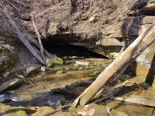 Best Forest Trails in Spring Mill State Park | AllTrails