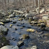 Splitrock Reservoir Trail, New Jersey - 600 Reviews, Map | AllTrails