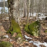 Boston Lot Lake, New Hampshire - 760 Reviews, Map | AllTrails