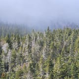 Mount Avalon, New Hampshire - 884 Reviews, Map | AllTrails