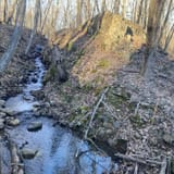 Giuffrida Park Loop, Connecticut - 1,664 Reviews, Map | AllTrails