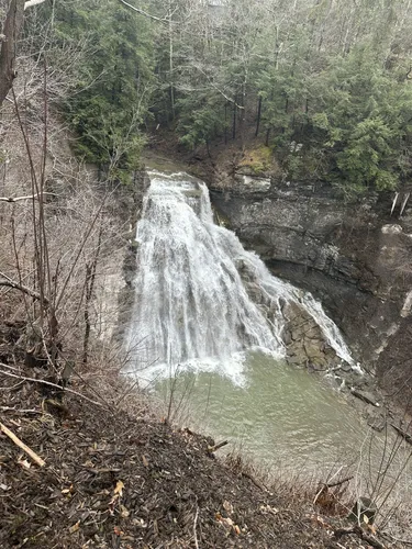 Best Hikes and Trails in Delphi Falls Park | AllTrails