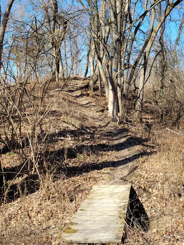 Best Hikes and Trails in Montrose Point State Forest | AllTrails
