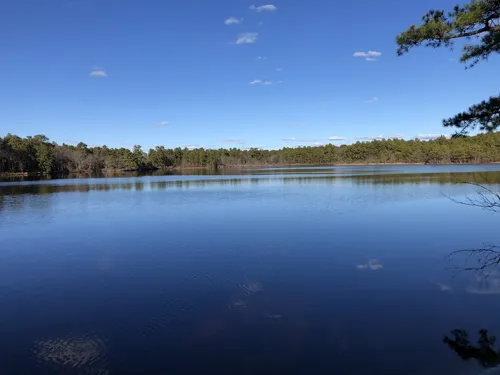 Best Lake Trails in Pemberton | AllTrails