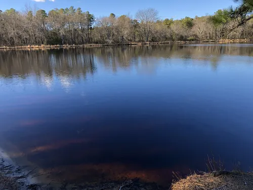 Best Lake Trails in Pemberton | AllTrails