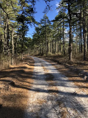 Best Lake Trails in Pemberton | AllTrails