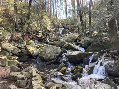 Best Waterfall Trails in Pine Grove | AllTrails