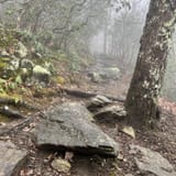 Hanging Rock, Virginia - 952 Reviews, Map | AllTrails