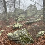 Hanging Rock, Virginia - 1,145 Reviews, Map | AllTrails